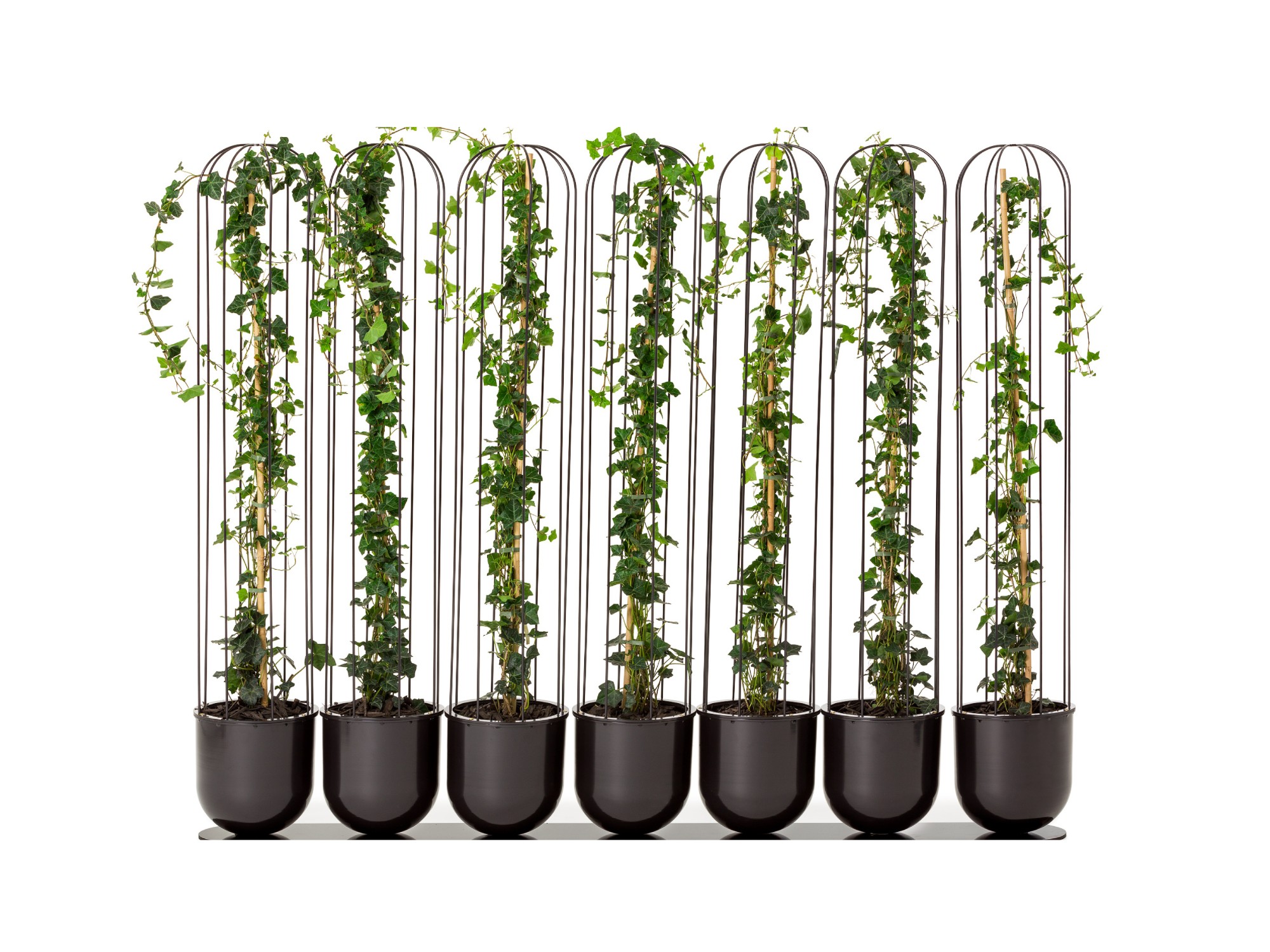 Cacti plantenbak | Visuele afscheiding in kantoortuinen | Tjinco